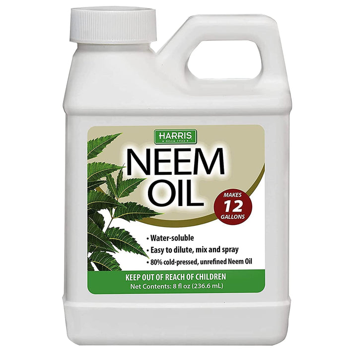 Pest Control: Insecticide - Neem Oil Cold Pressed – La Foresta Orchids
