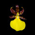 Oncidium Alliance - Trichocentrum cebolleta x splendidum – La Foresta ...